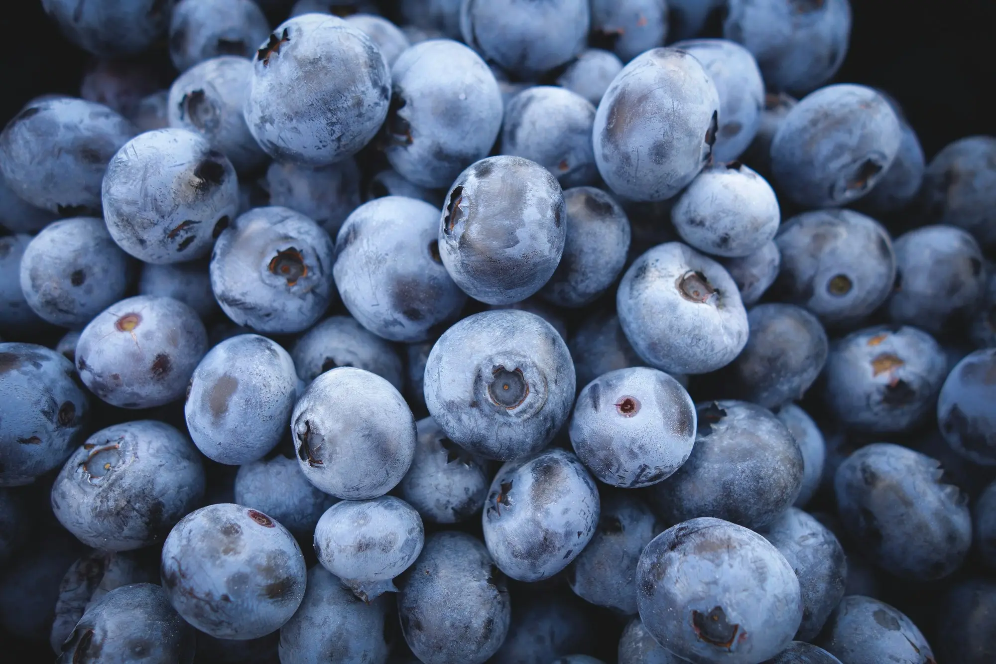 Blueberry Recall 2025 | Food Safety Alert 2025